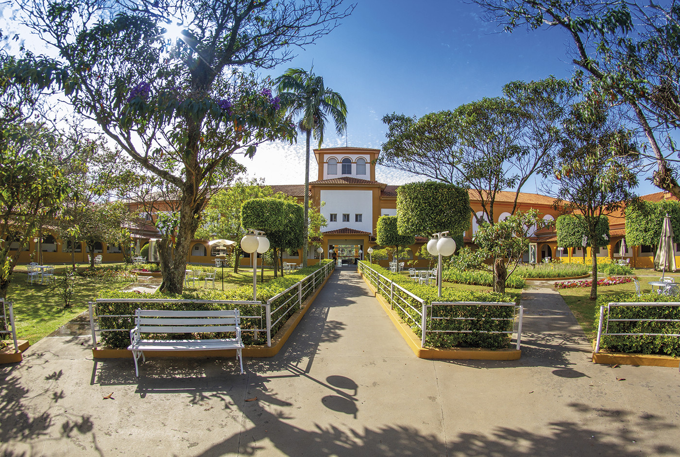 Unidades da Rede de Hospitais São Camilo - SP - Entidades Camilianas ...